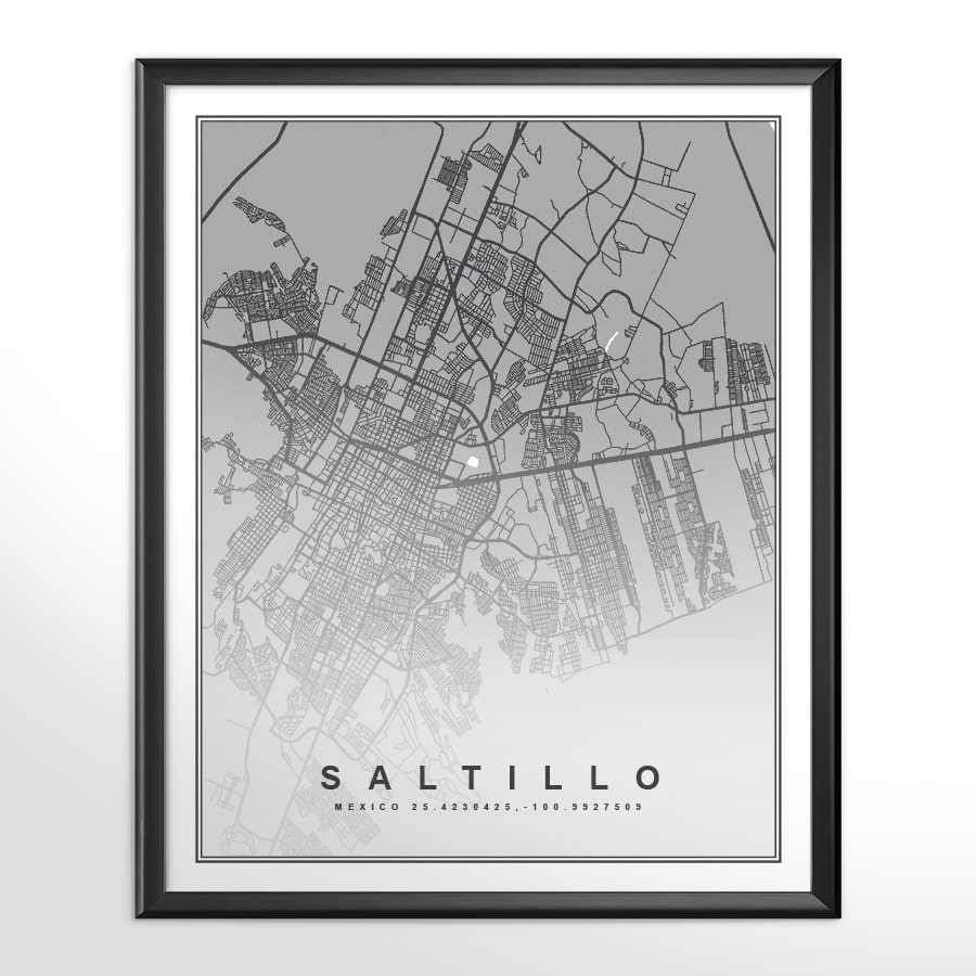 Cuadro Mapa de Saltillo