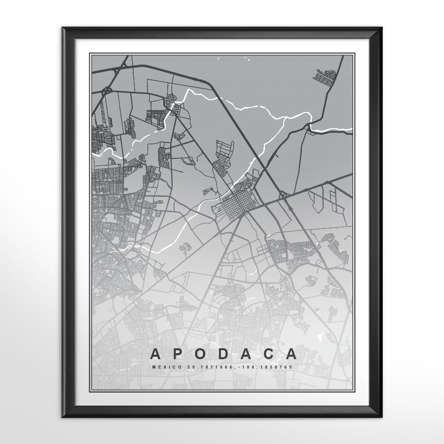 Cuadro Mapa de Apodaca